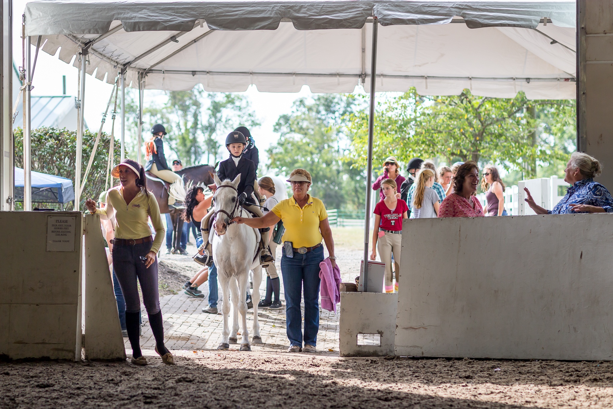 National PHA Medal Class - The Professional Horsemen's Association of ...